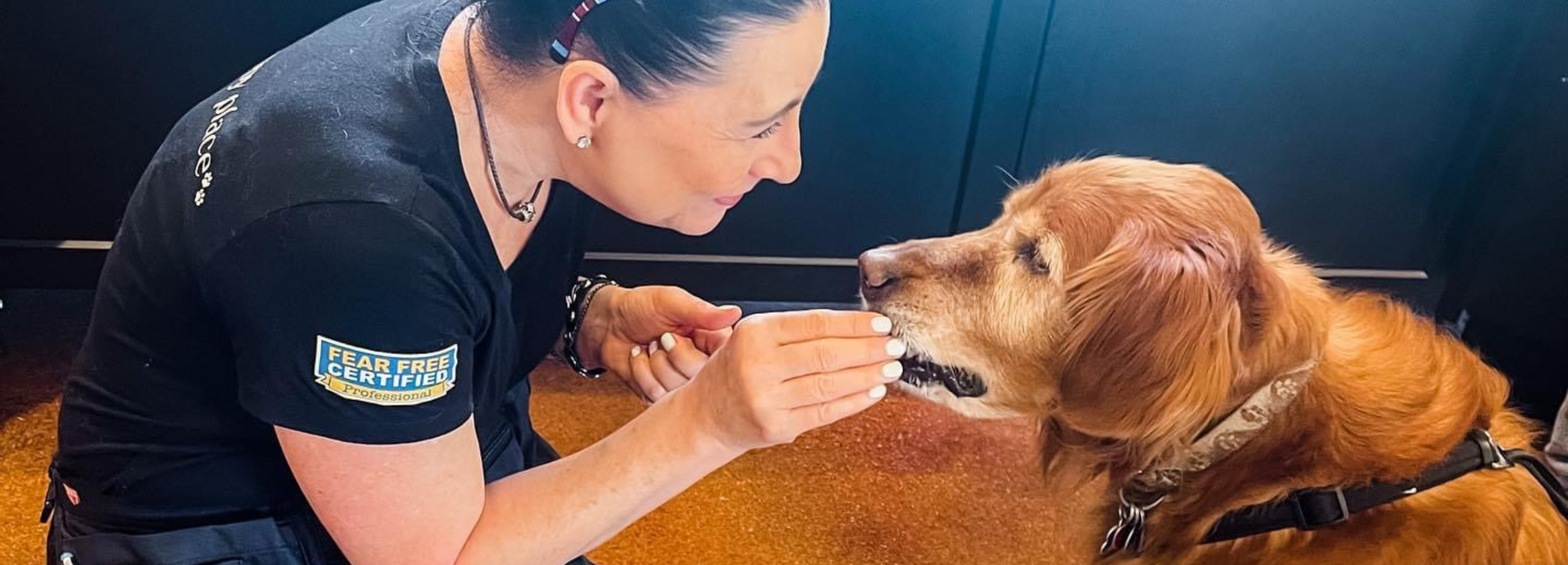 Client Specialist Job | Join the Wet Nose Team in Geneva, IL