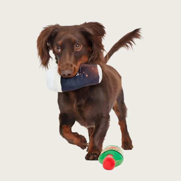 Wee Nip & Sip Dog Toy – Wet Nose