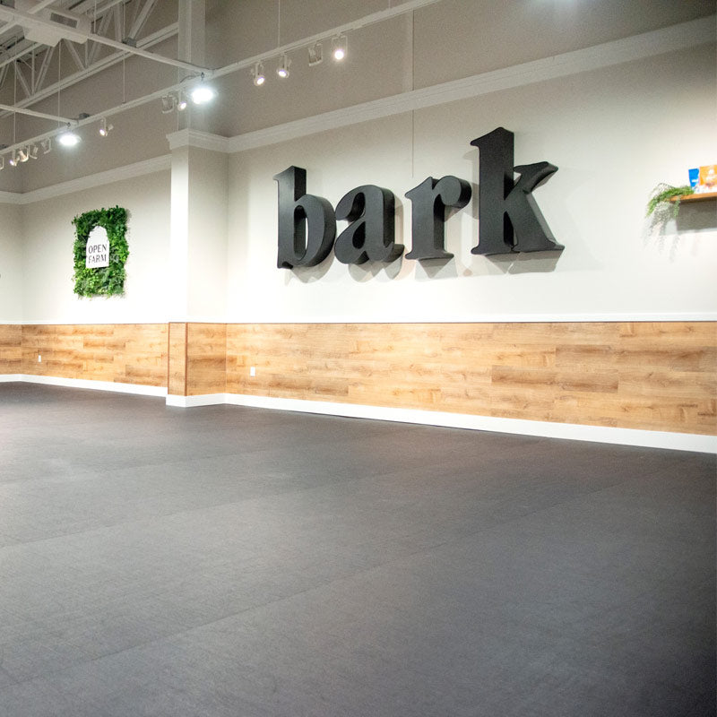 BARK Room – Private Playtime – Wet Nose